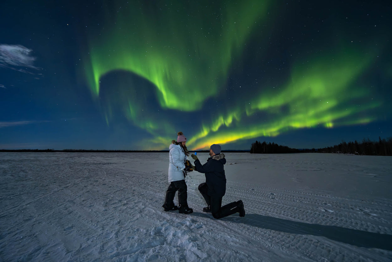 Alaska Aurora Tours – theauroraguy.com