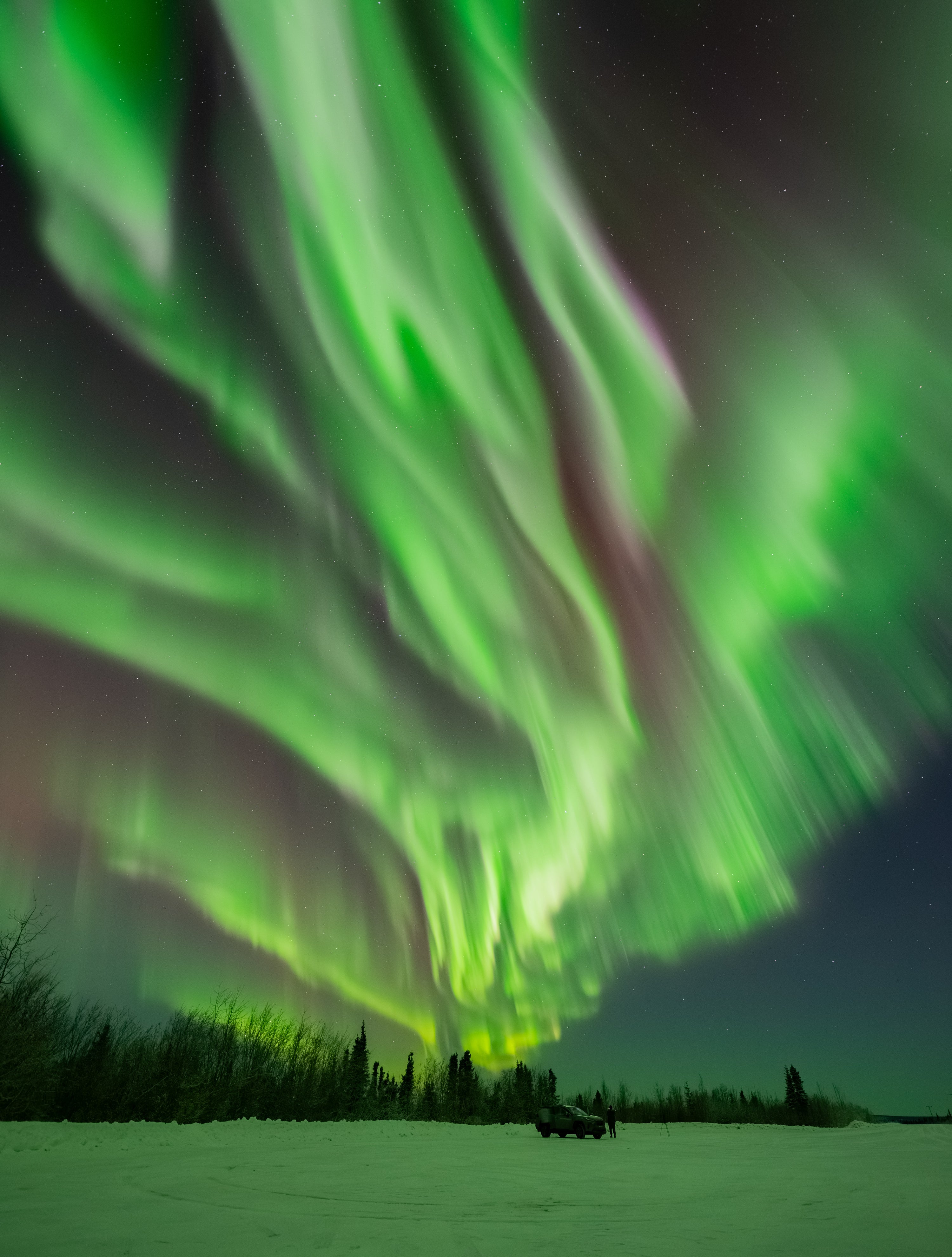 Maia's Aurora Tours – theauroraguy.com