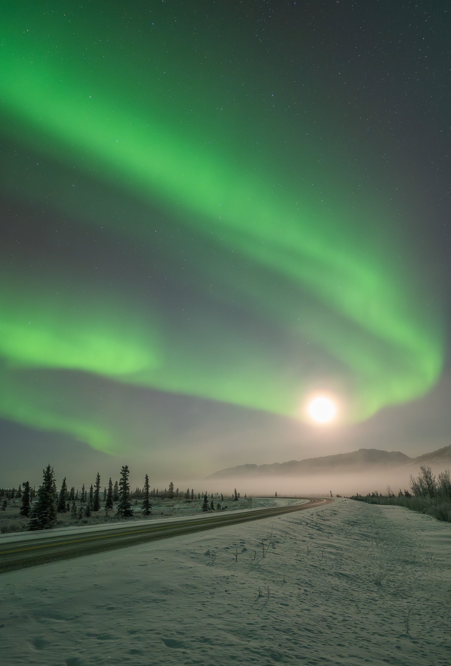 Aurora Tours – theauroraguy.com