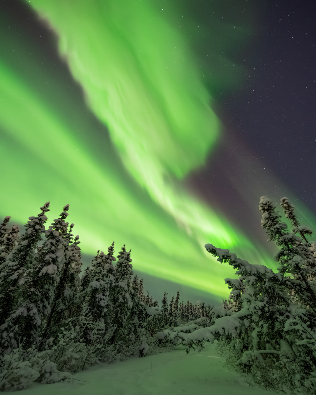 Aurora Tours – theauroraguy.com