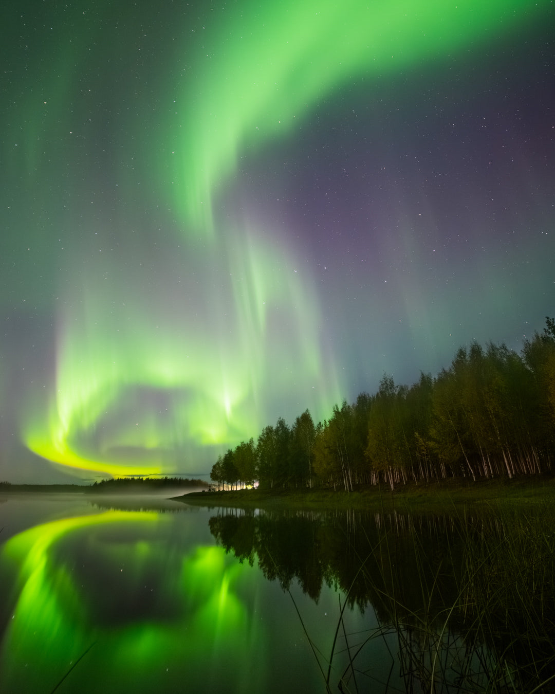 Aurora Tours – theauroraguy.com